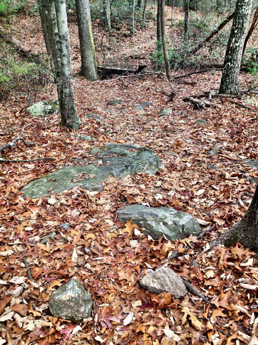 Pandapas Pond Trail Map - www.inf-inet.com