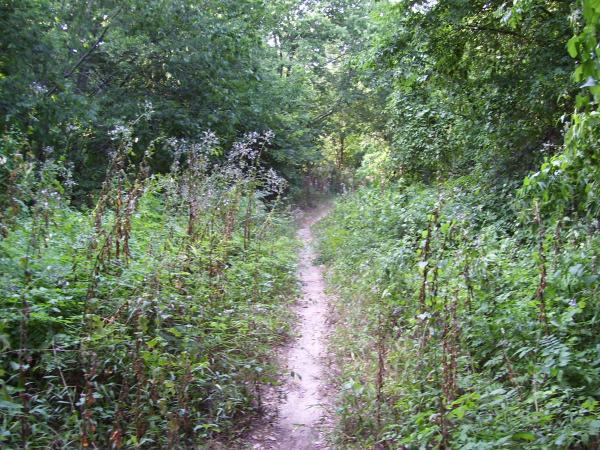 Flint River Trails Photos