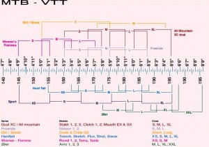How to Fit Yourself on a Mountain Bike Like a PRO - Singletracks ...
