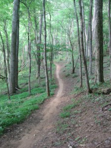Jumping on the Jackrabbit Trails in North Carolina - Singletracks ...