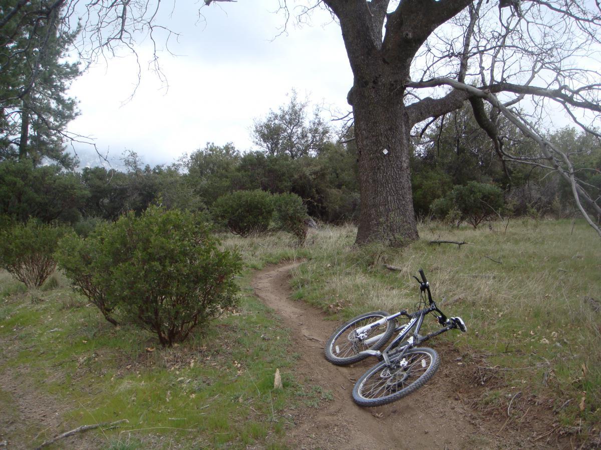 Hurkey Creek Mountain Bike Trail in Idyllwild, California - Directions ...