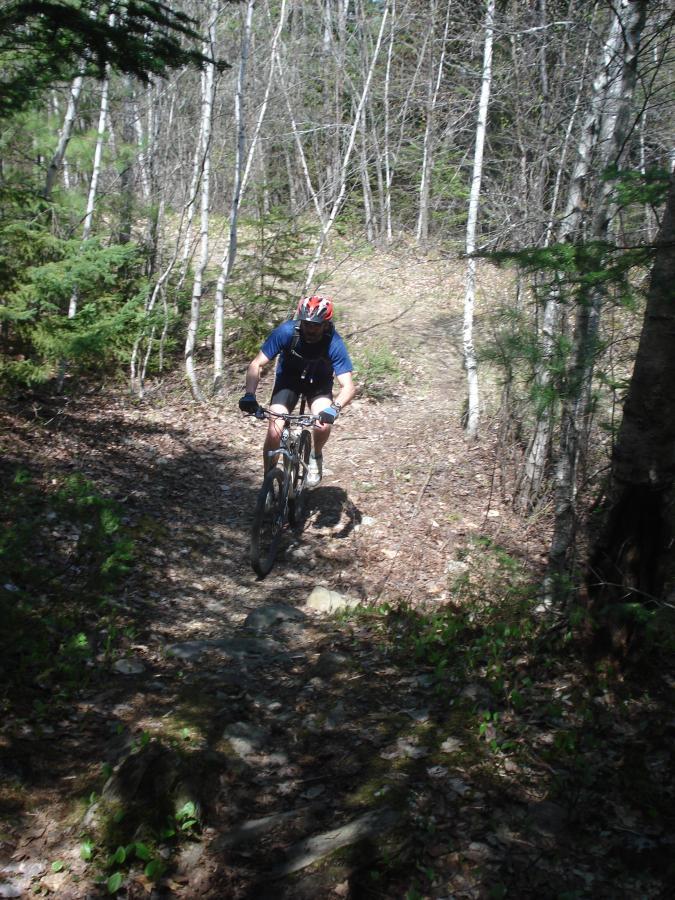 Bangor City Forest Mountain Bike Trail In Bangor Maine Directions