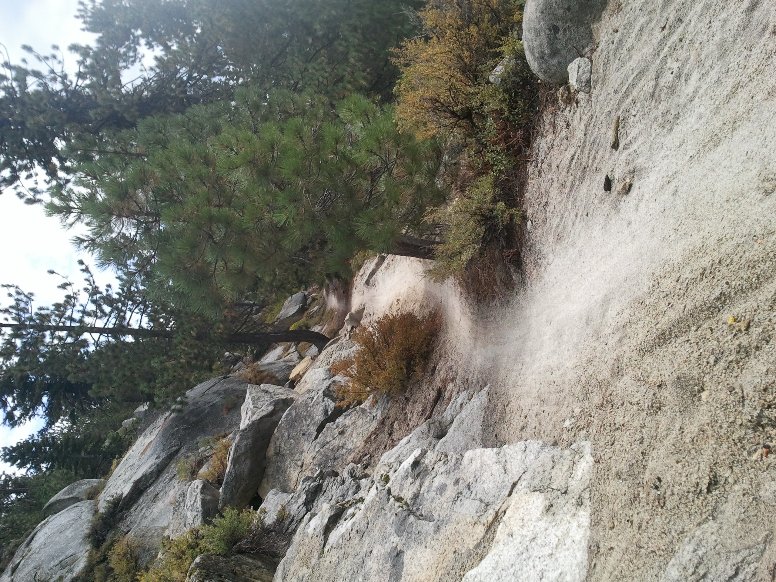 Mountain Biking Road Trip: NorCal! - Singletracks Mountain Bike News