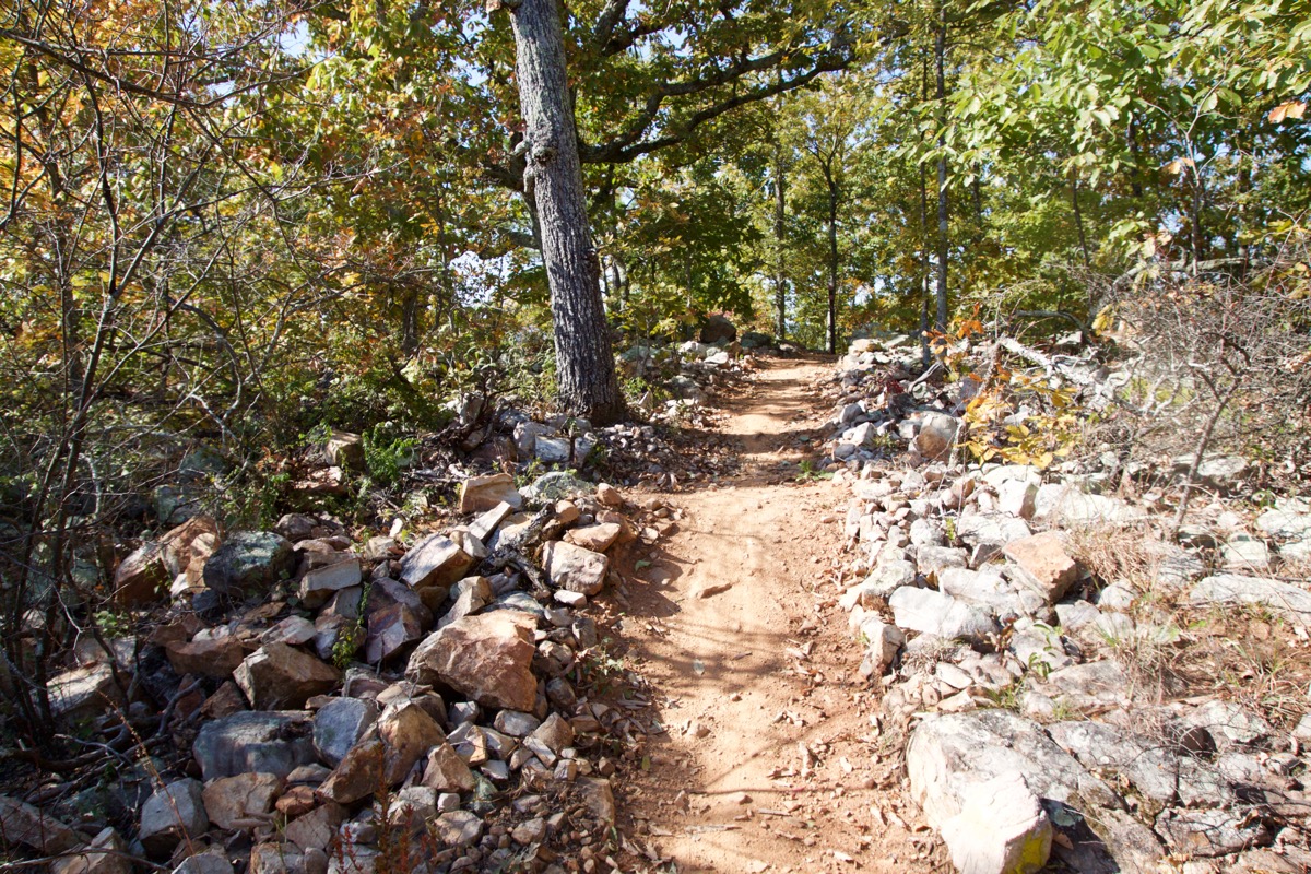 Flow Country Comes to Alabama: Coldwater Mountain - Singletracks ...