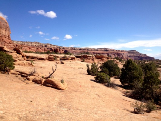 Exploring Fresh Dirt in Moab: Navajo Rocks Loop - Singletracks Mountain ...