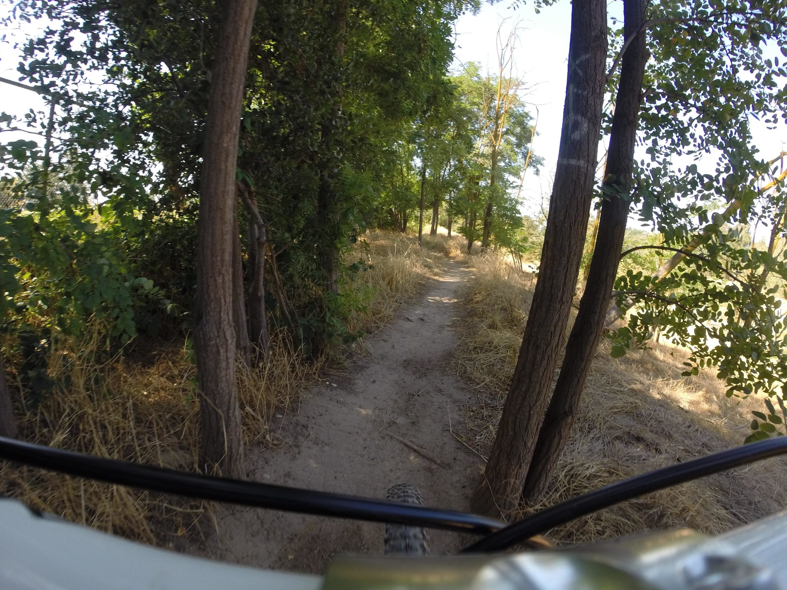 Dry Creek Trail Photos