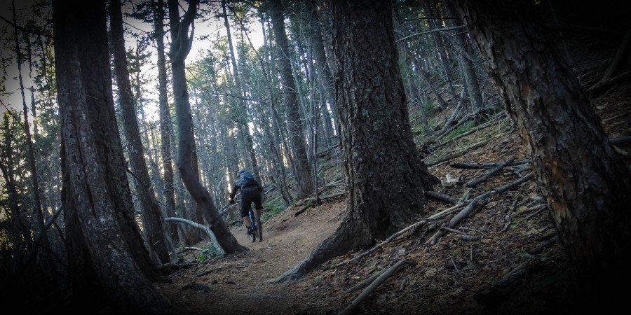 The Apex Trail Is Finally Open: An Article About Sustainable Trail ...