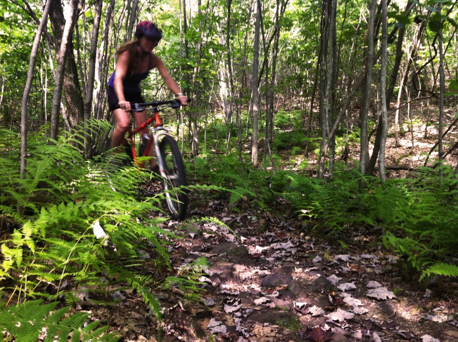 My Top 5: The Best Mountain Bike Trails in Central Pennsylvania ...
