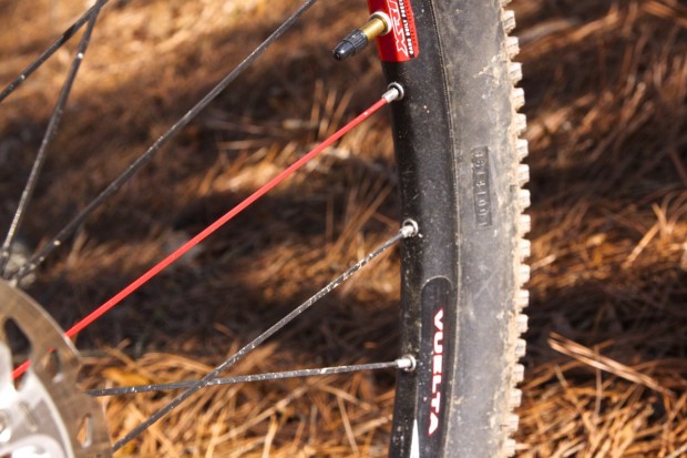 On Test: Motobecane Fly Team Titanium 29er - Singletracks Mountain Bike ...