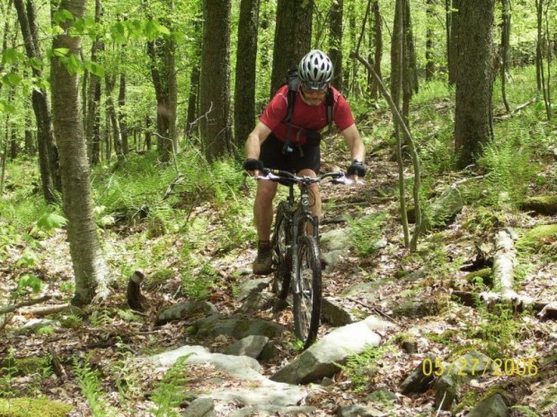 Five2Ride: Mountain Bike Trails in West Virginia - Singletracks ...