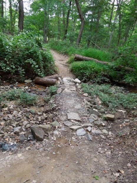 Great Beginner Trails: Definition and 10 Examples - Singletracks ...