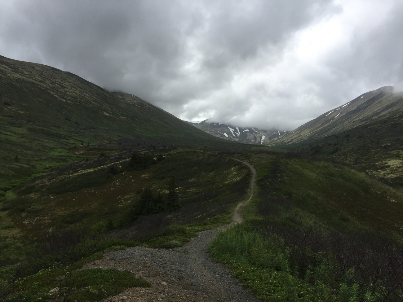 Exploring the Resurrection Pass Trail in Alaska - Singletracks Mountain ...