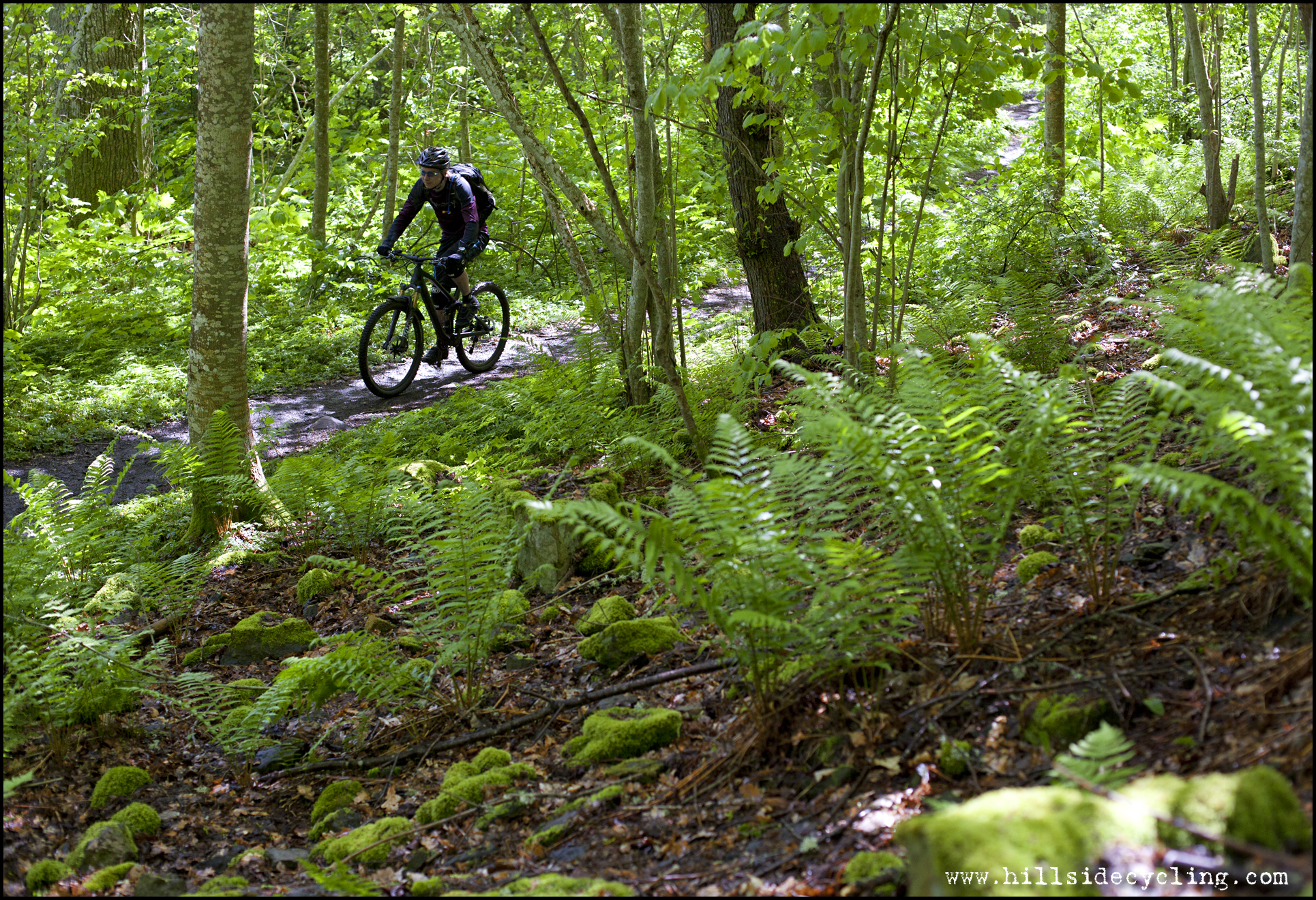 Beginnings Interview: Leo Ranta, Hillside Cycling - Singletracks ...