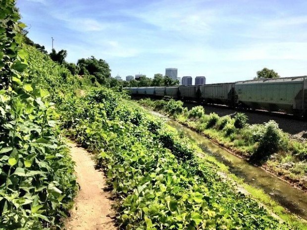 IMBA's New Ride Centers: From 1 to 6 Gold-Level Centers - Singletracks ...