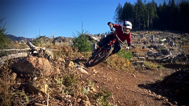 DT Swiss XM 481 Review: A Wider Wheelset Built With True Love ...