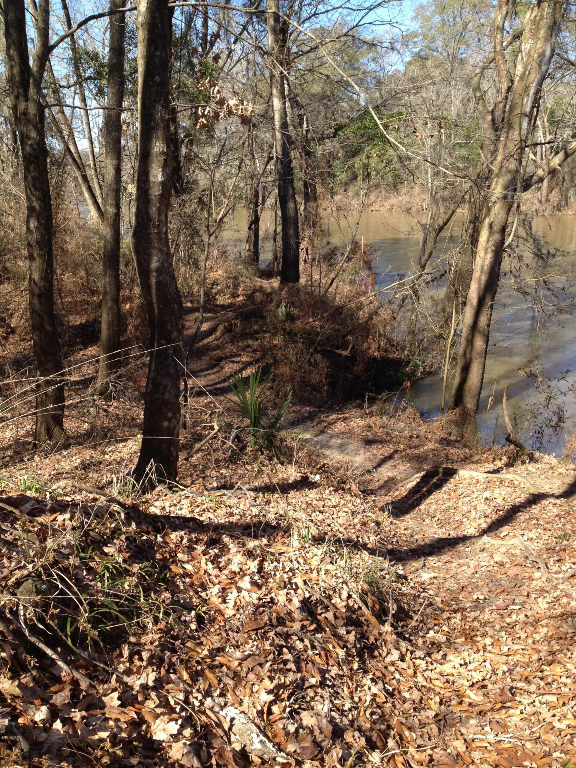Flint River Trails Photos