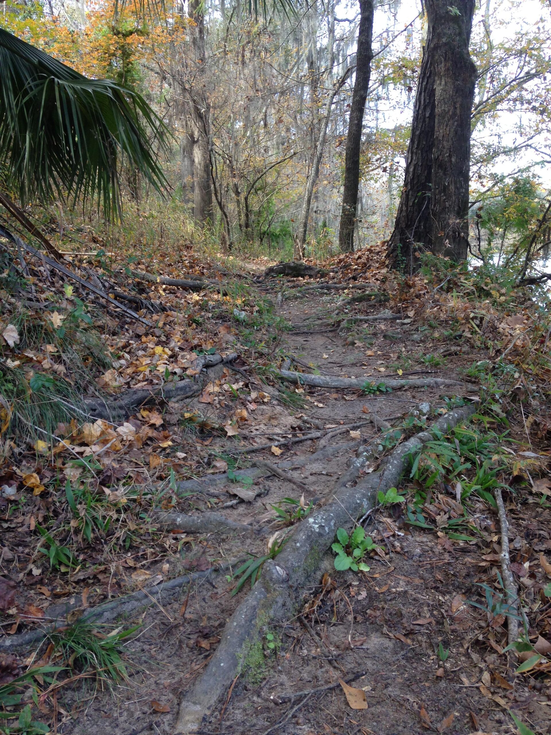 Flint River Trails Photos
