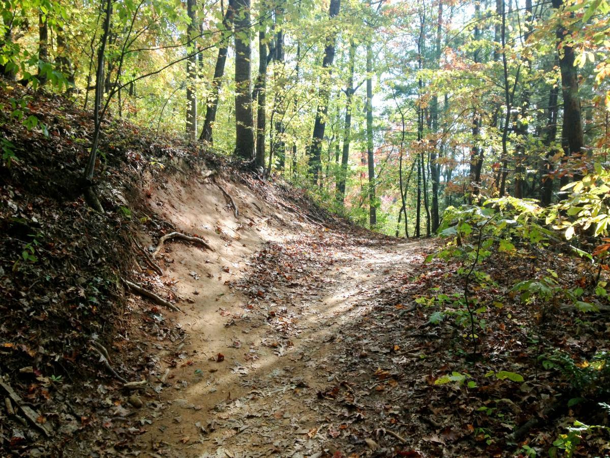 Deceptive Greens: Unmasking the Challenges of Mountain Biking's 'Easy ...