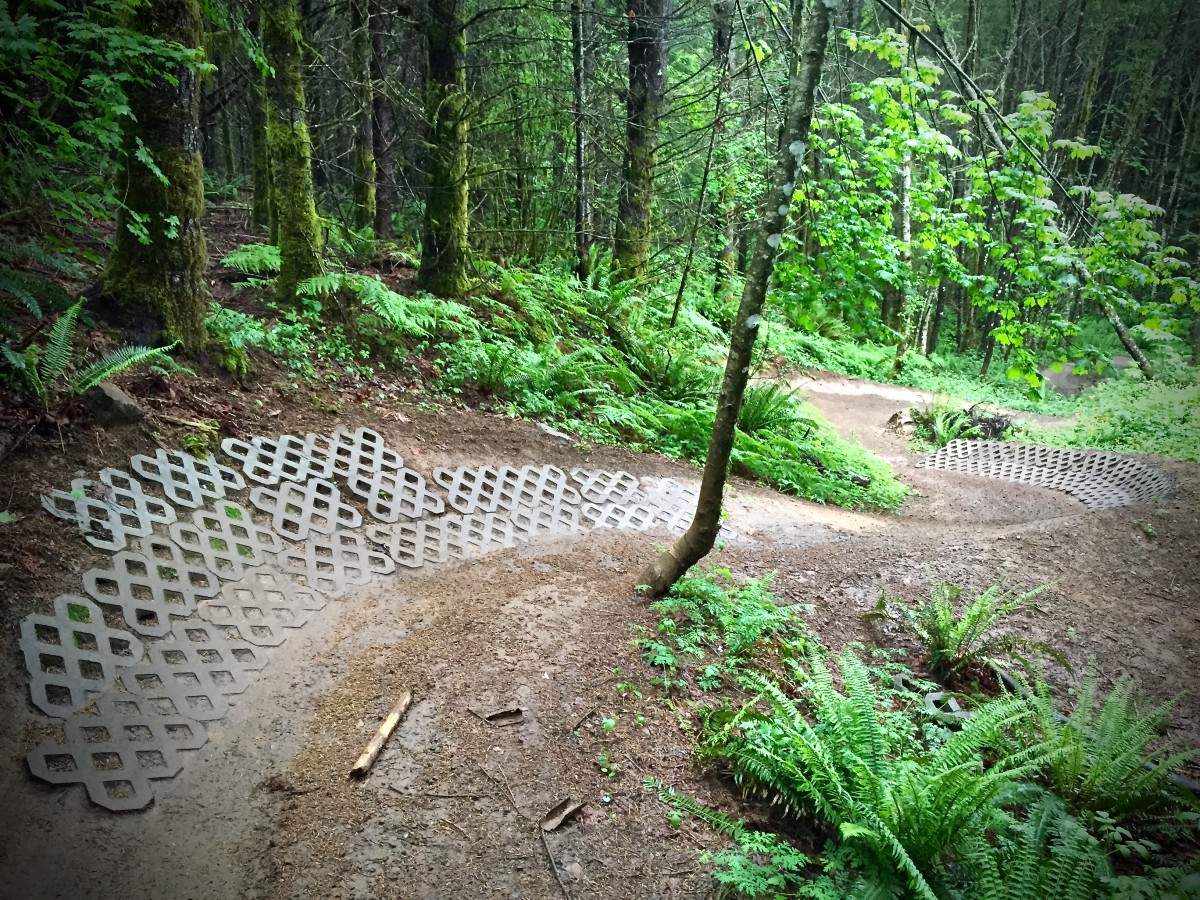 The Hood Report: The Story of Sandy Ridge - Singletracks Mountain Bike News
