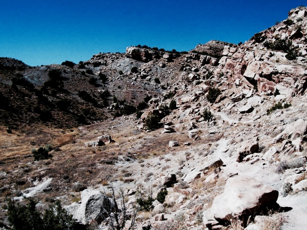 8 of the Most Technical Mountain Bike Trails in the USA, According to ...