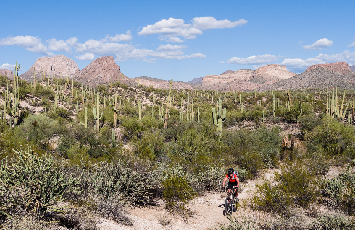 100 Miles in the Sonoran Desert: Oracle to Picketpost on the Arizona ...
