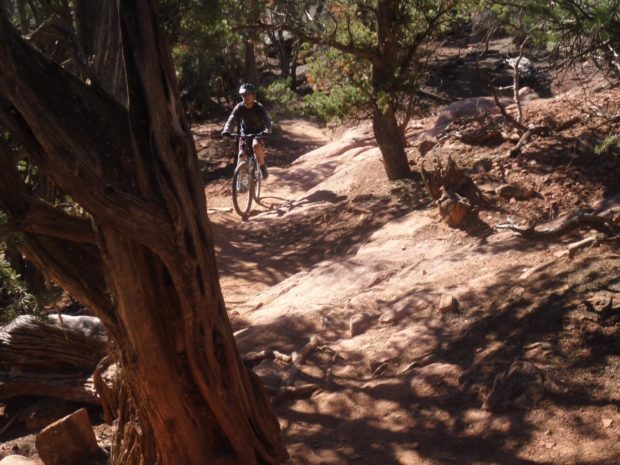 10 of the Best MTB Trails You've Never Heard Of - Singletracks Mountain ...