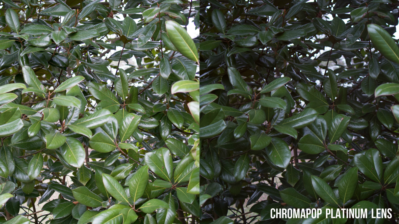 Seeing in a New Light with Smith's ChromaPop Lenses - Singletracks ...