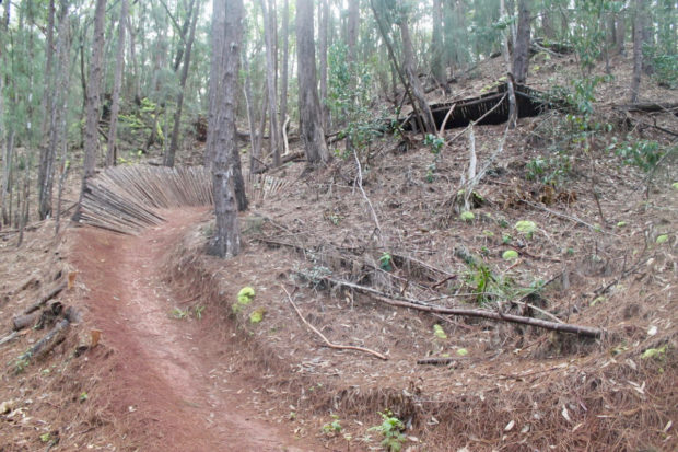 Riding the North Shore... of Oahu: A Day on the Pupukea Trail ...
