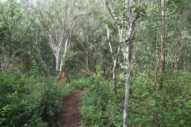 Riding the North Shore... of Oahu: A Day on the Pupukea Trail ...