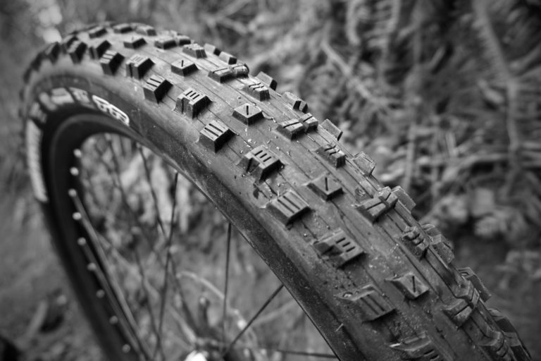 Maxxis Forekaster 2.6" Tire Review - Singletracks Mountain Bike News