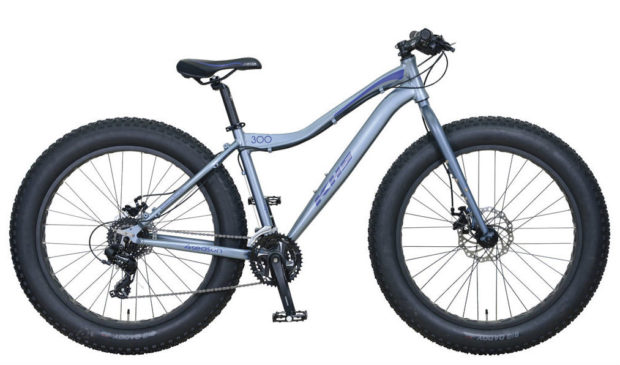 Buyer's Guide: Budget Fat Bikes Under $1500 - Singletracks Mountain ...