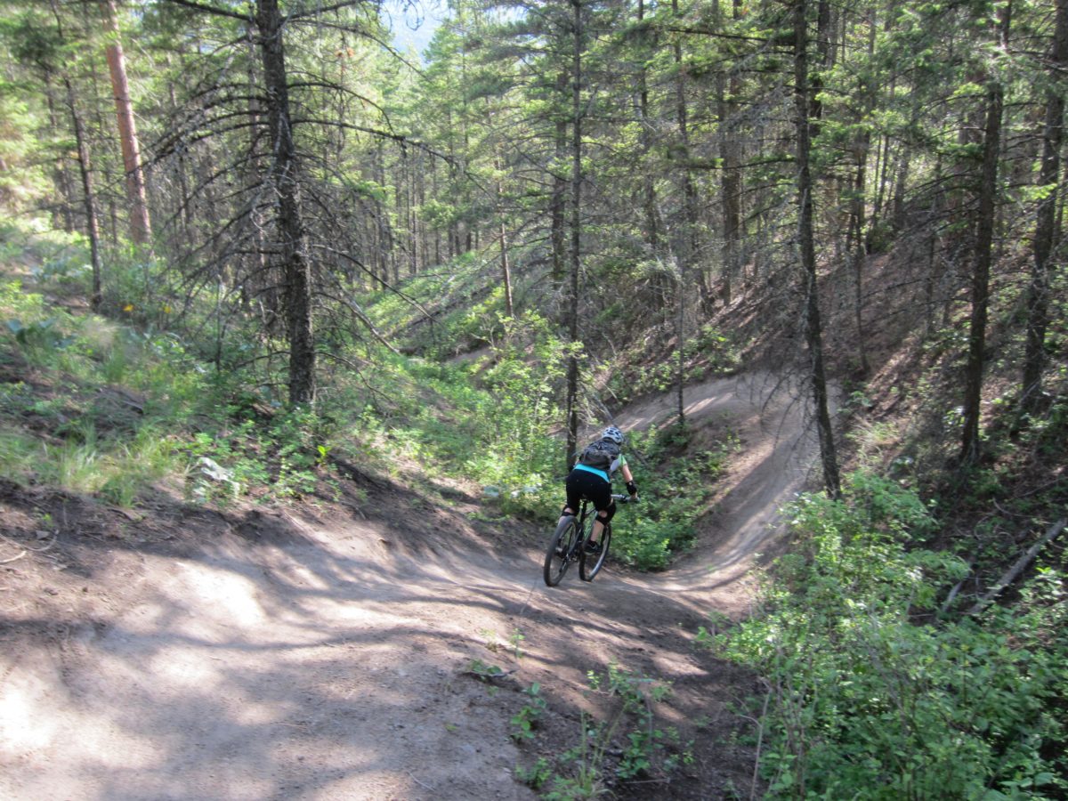 Five2Ride: 5 of the Best MTB Trails in British Columbia - Singletracks ...