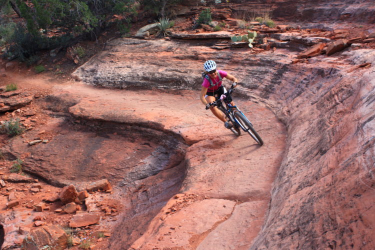 Everything You Need to Know About Mountain Biking Coconino National ...