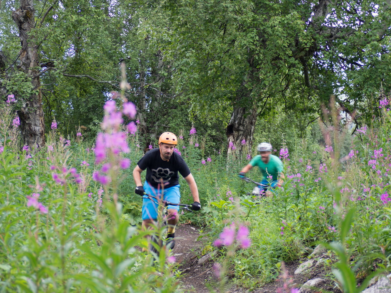 Five2Ride: 5 of the Best MTB Trails in Alaska - Singletracks Mountain ...