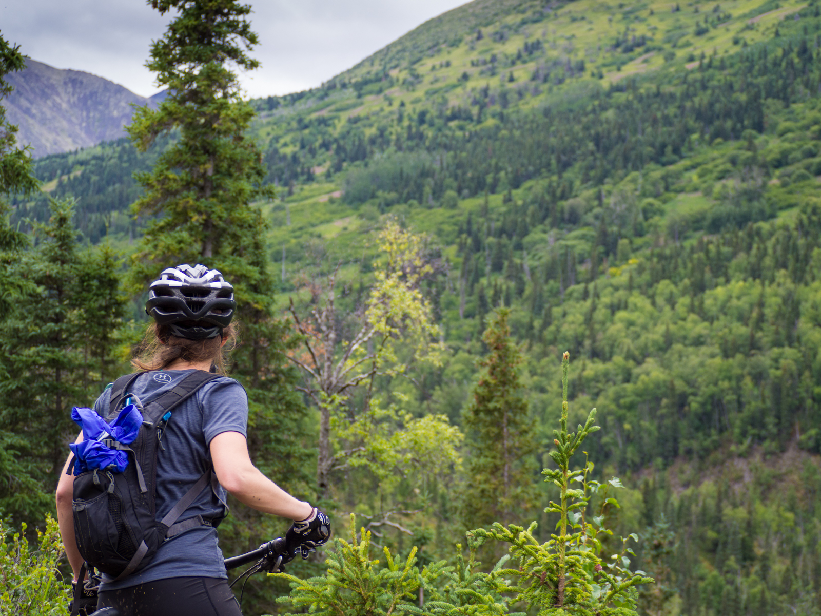 Five2Ride: 5 of the Best MTB Trails in Alaska - Singletracks Mountain ...