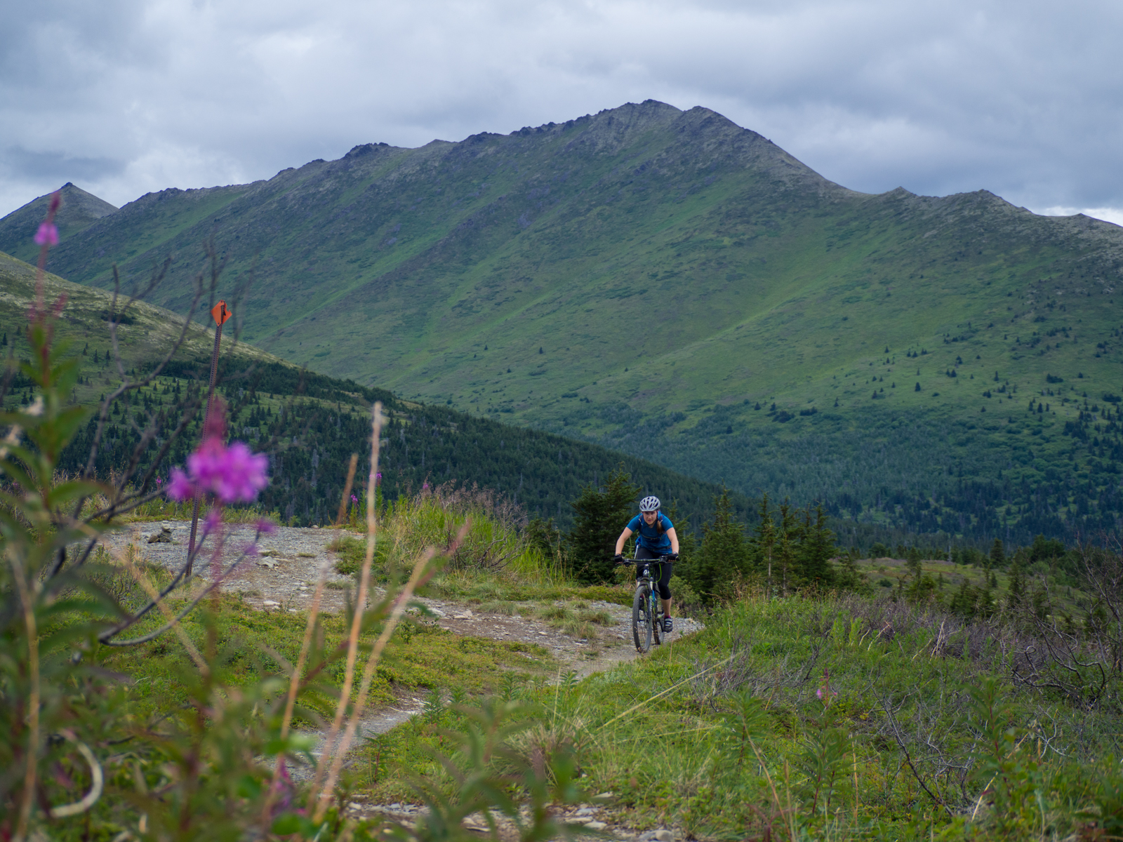 Five2Ride: 5 of the Best MTB Trails in Alaska - Singletracks Mountain ...
