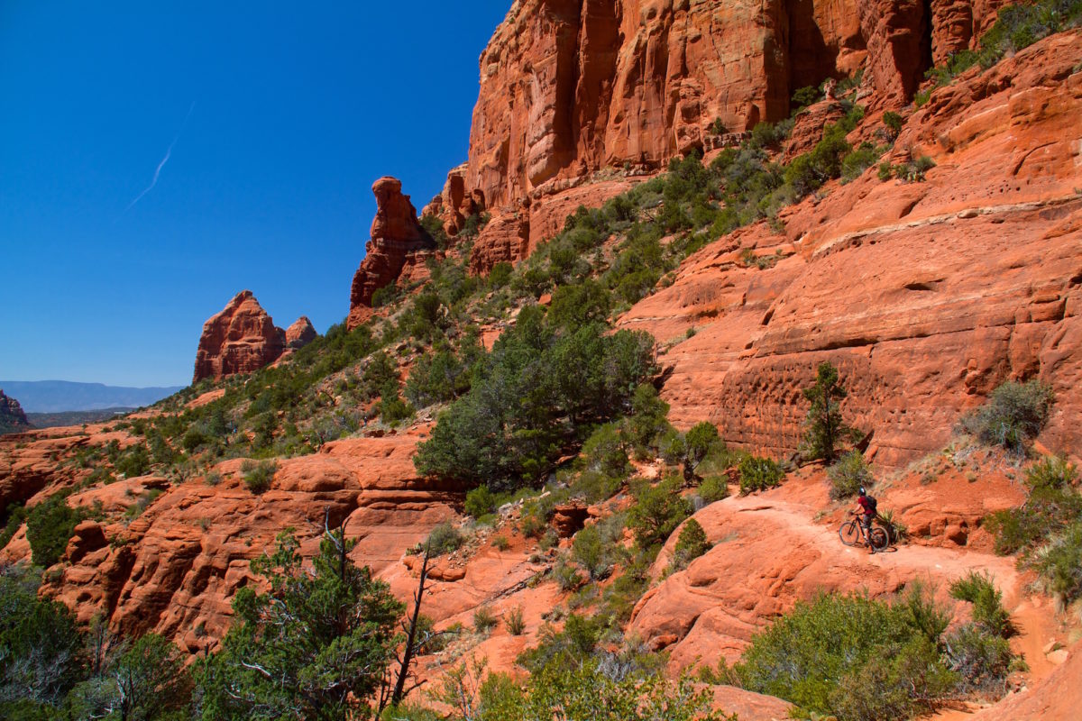 Everything You Need to Know About Mountain Biking Coconino National ...