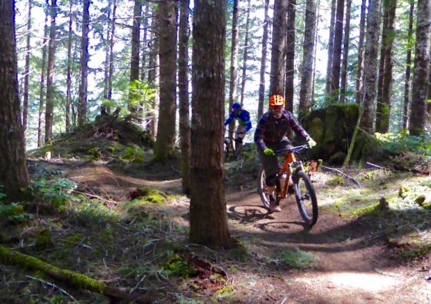 Alsea Falls Trail: The Third Leg of Oregon - Singletracks Mountain Bike ...