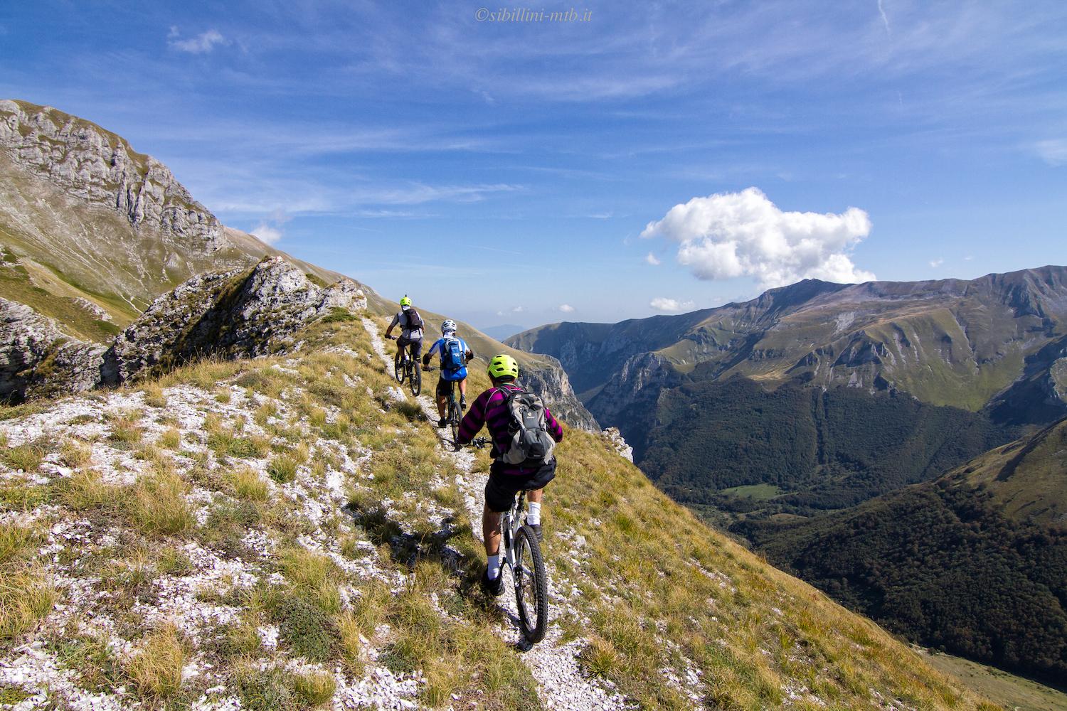Trail Variety Is the Spice of Biking Life: This Time, Let's Play With ...