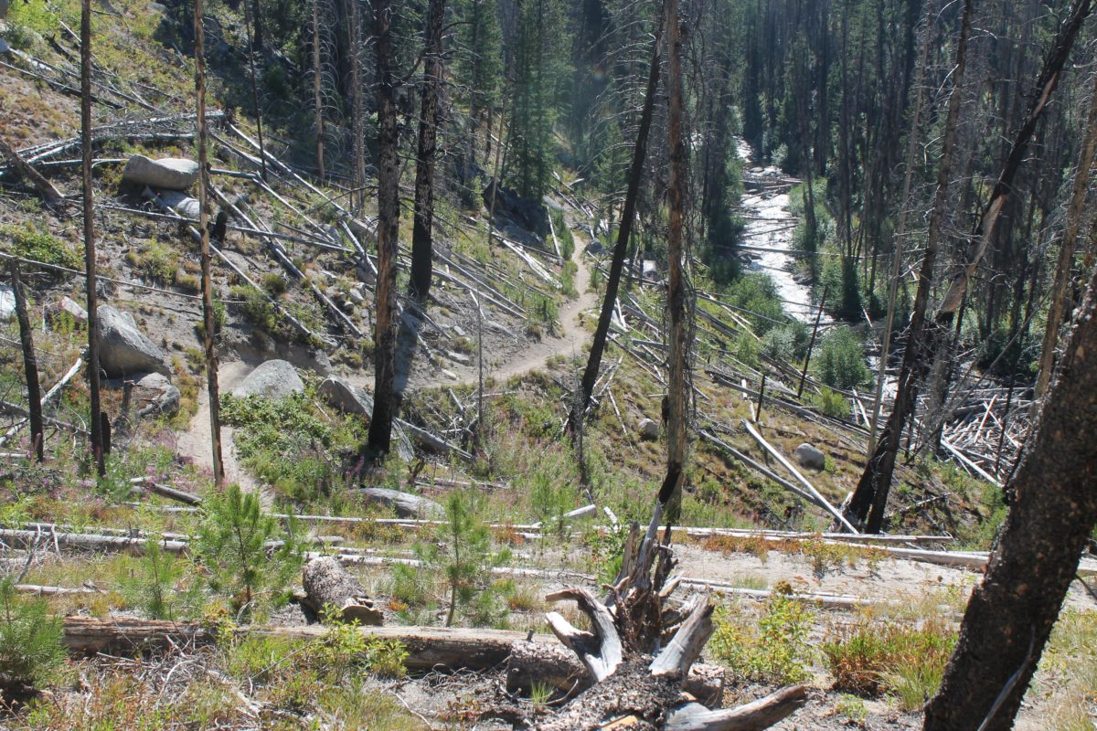 Western Idaho Is McCalling You for a Ride - Singletracks Mountain Bike News