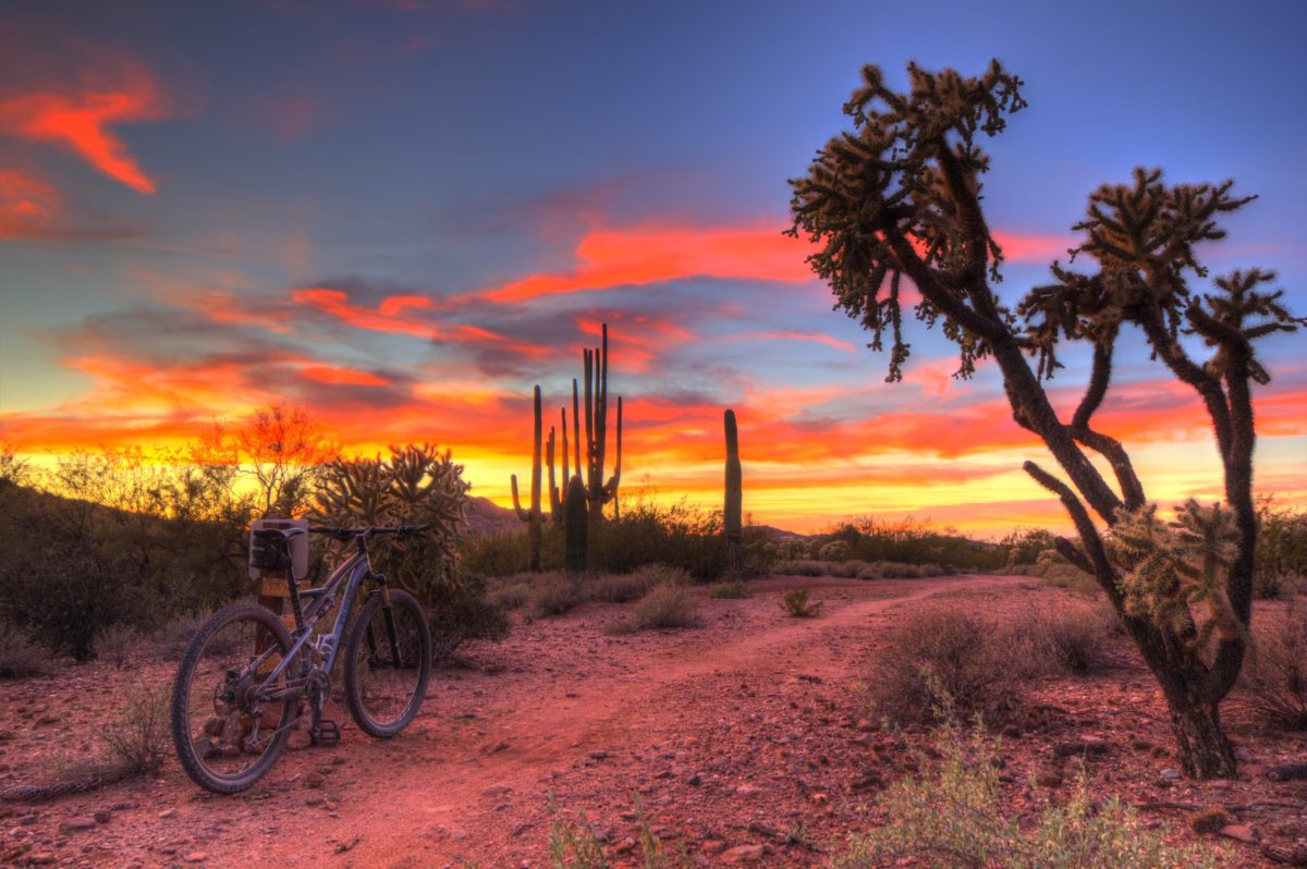 Five2Ride: The Best Mountain Bike Trails near Phoenix, AZ ...