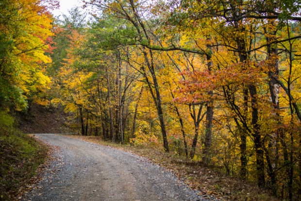 No Regrets: 290 Miles of Bikepacking the Cohutta Cat Route ...