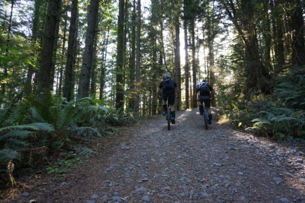 Five2Ride: Great Mountain Bike Trails Off I-5 in Washington ...