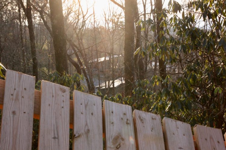 How to Mountain Bike Car-Free in Pisgah with Pilot Cove - Singletracks ...