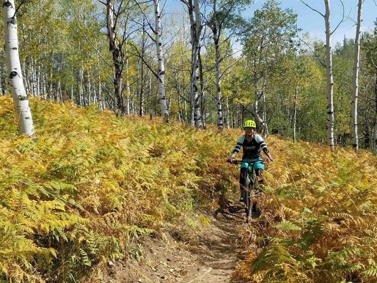 IMBA Announces 2018 Ride Centers, Including First East Coast Silver ...