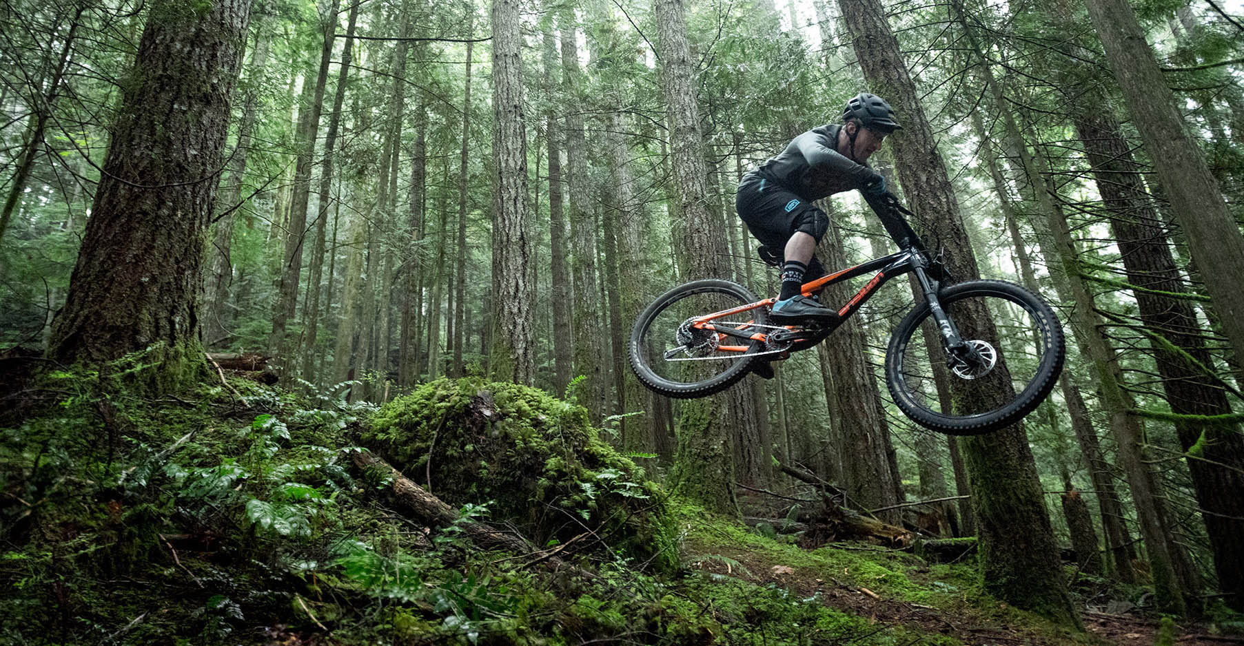 The Ultimate Trail Bike Buyer's Guide - Singletracks Mountain Bike News
