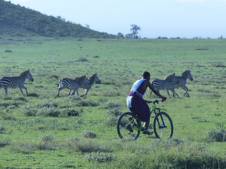 African Safari By Mountain Bike, Now Available in Tanzania ...