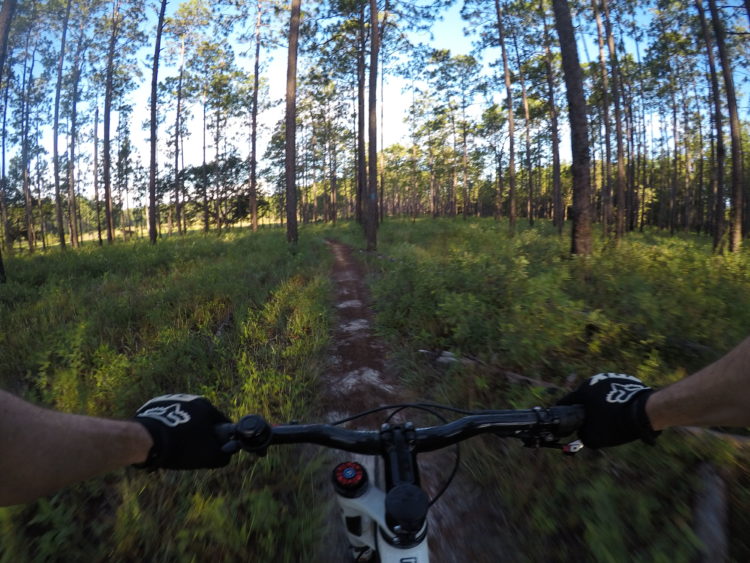 How Much Body Armor Should I Wear for Mountain Biking? - Singletracks ...