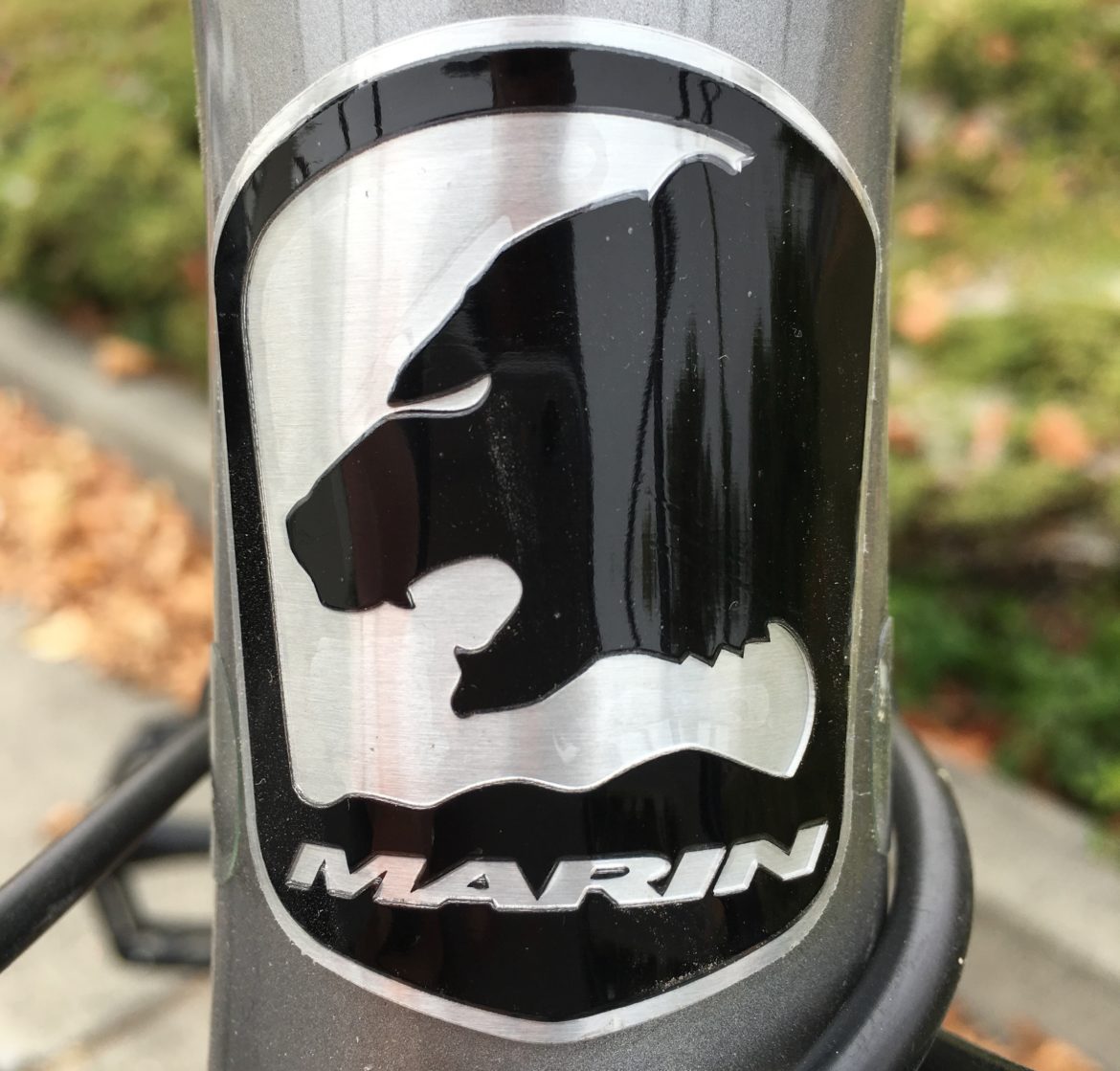 Branding in the MTB Industry: An Inside Look at How Companies Craft ...