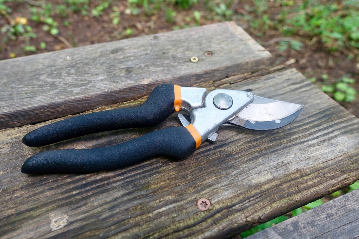 MTB Trail Maintenance: It's in Your Hands - Singletracks Mountain Bike News